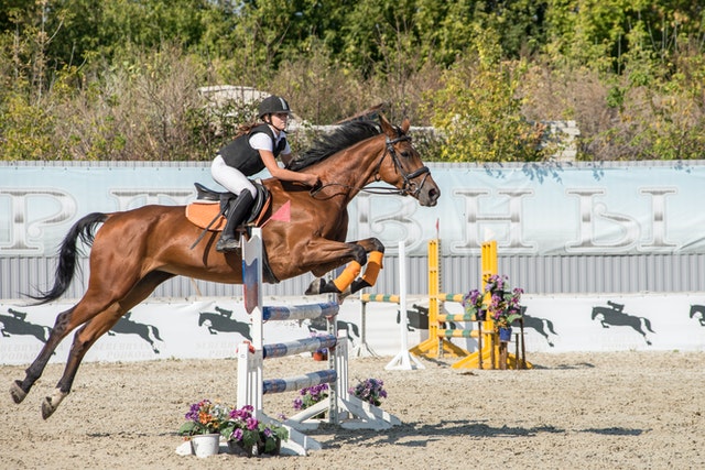 How to Make a Wing Standard Horse Jump - Meet with Cindy